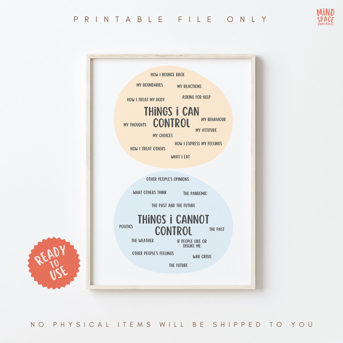 Things I Can Control Poster – MindSpace